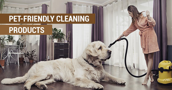 Pet-Friendly Cleaning Products | Royal Building Cleaning Ltd
