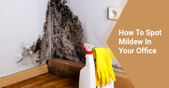 5 Signs Of Mildew In Your Office | Royal Building Cleaning Ltd