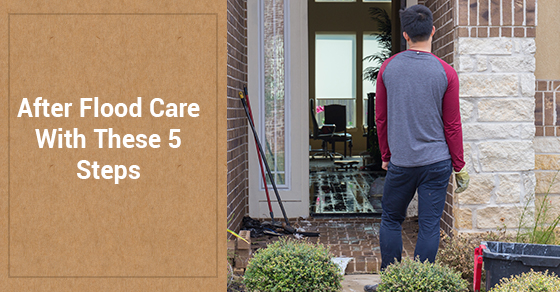 5 Steps To Take After A Flood In Your Home | Royal Building Cleaning Ltd
