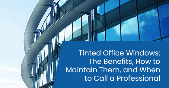 Tinted Office Windows: The Benefits, How to Maintain Them, and When to ...